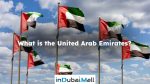 Difference Between UAE and Dubai | in Dubai Mall